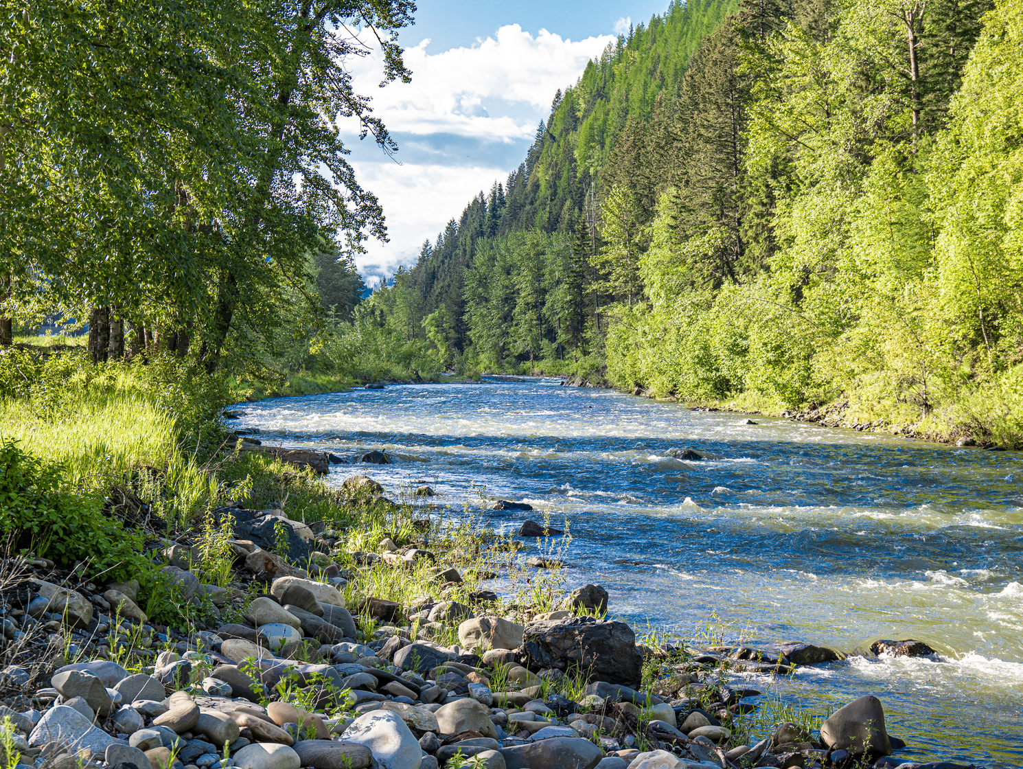 Environmental and regional considerations